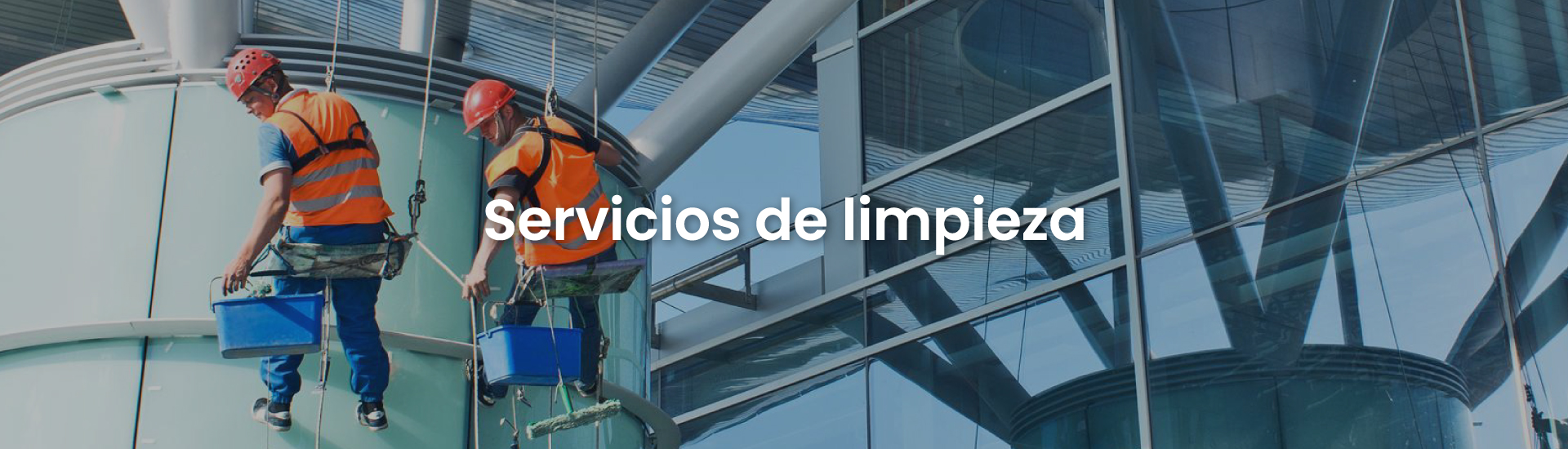 SERVICIOS DE LIMPIEZA – Grupo Peltor